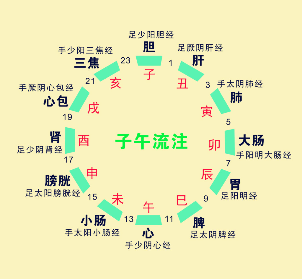 Protect the heart and calm the nerves, the ninth meridian: hand Jueyin ...