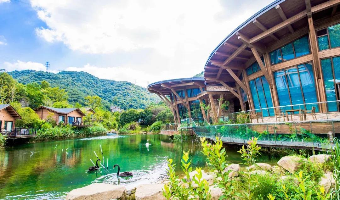 Experience the incredible "different" summer in the popular Hangzhou ...