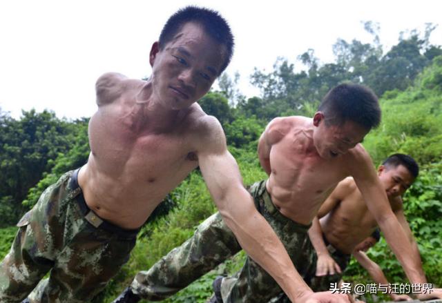 Comparison of the muscles of soldiers from various countries: the US ...