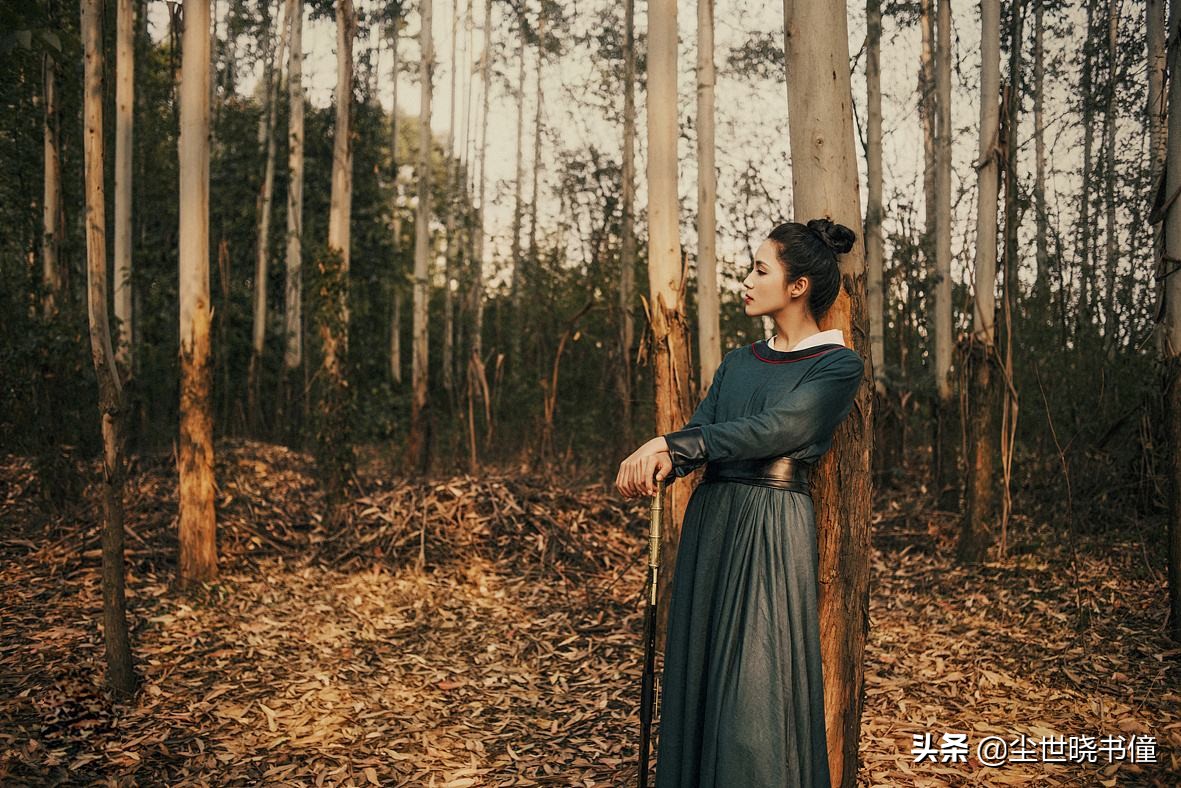Li Bai's "Xia Ke Xing" is magnificent, and Yuan Zhen's "Xia Ke Xing" is ...