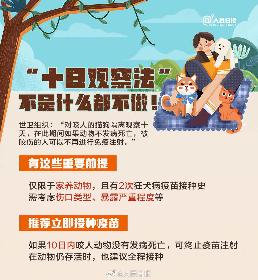 The fatality rate of rabies is almost 100%!What you need to know about ...