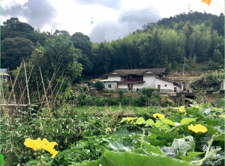 Circle of Friends (2114) (Author: Hao Shan Hao Shui) - iNEWS