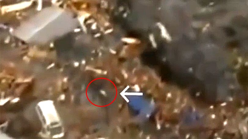 The legendary sea spirit appeared in the tsunami?Mysterious vaporous ...