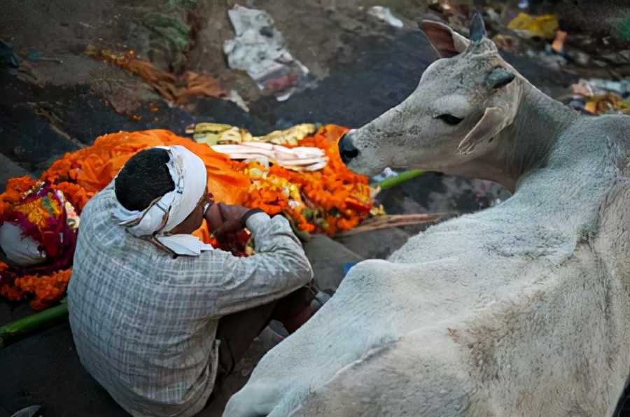 The open-air cremation site of the Ganges River in India. Is the water ...