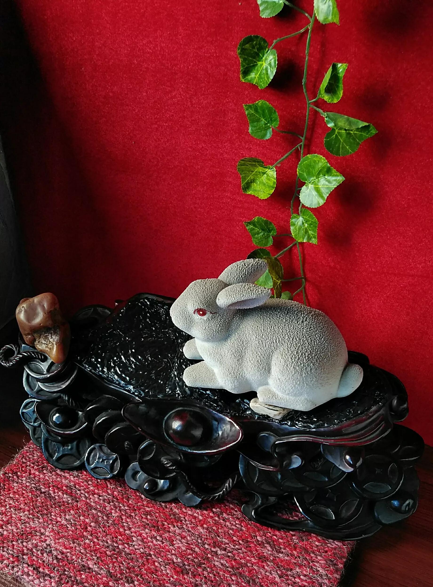 Yutu, Yuetu, Master Rabbit, Grandma Rabbit; which one is really the ...