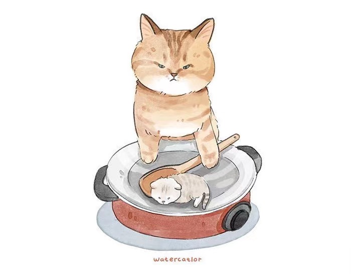 Fat cats fly in the sky, stew cubs in a pretty cat pot, sad cats are ...