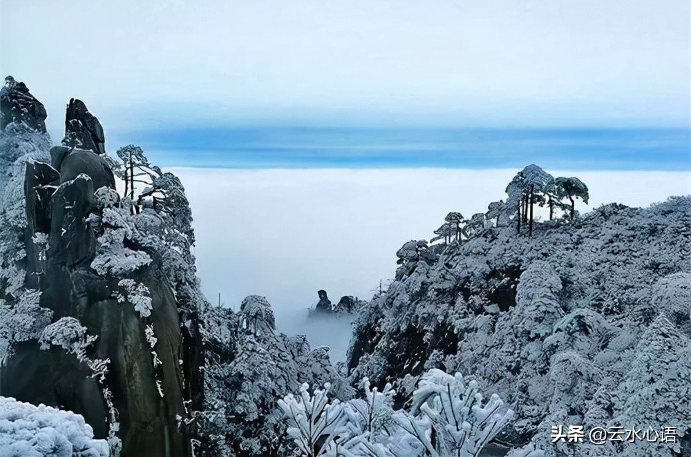 Wang Anshi's two Zen poems are unconcerned and show the freedom and ...