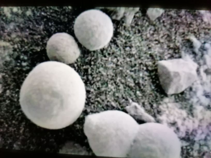 Are the balls shot on the surface of Mars mushrooms? - iNEWS
