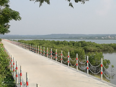 What's fun in Lingao?Don't miss these sights when traveling to Lingao ...