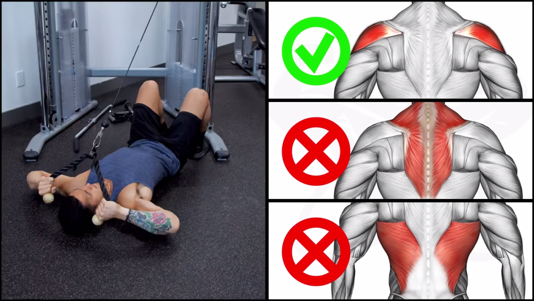 The back deltoid is good, you are the 3D shoulder hanger - iNEWS