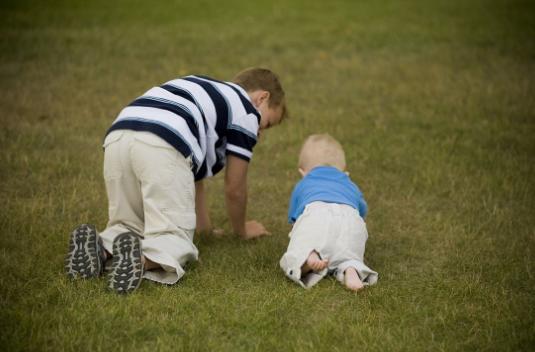 Babies who "crawl before walking" and "walk without crawling" can't see ...