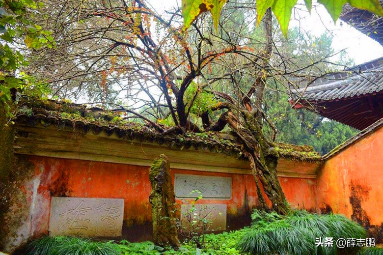 Qilu palindrome, visitors from the south and the people from the north ...