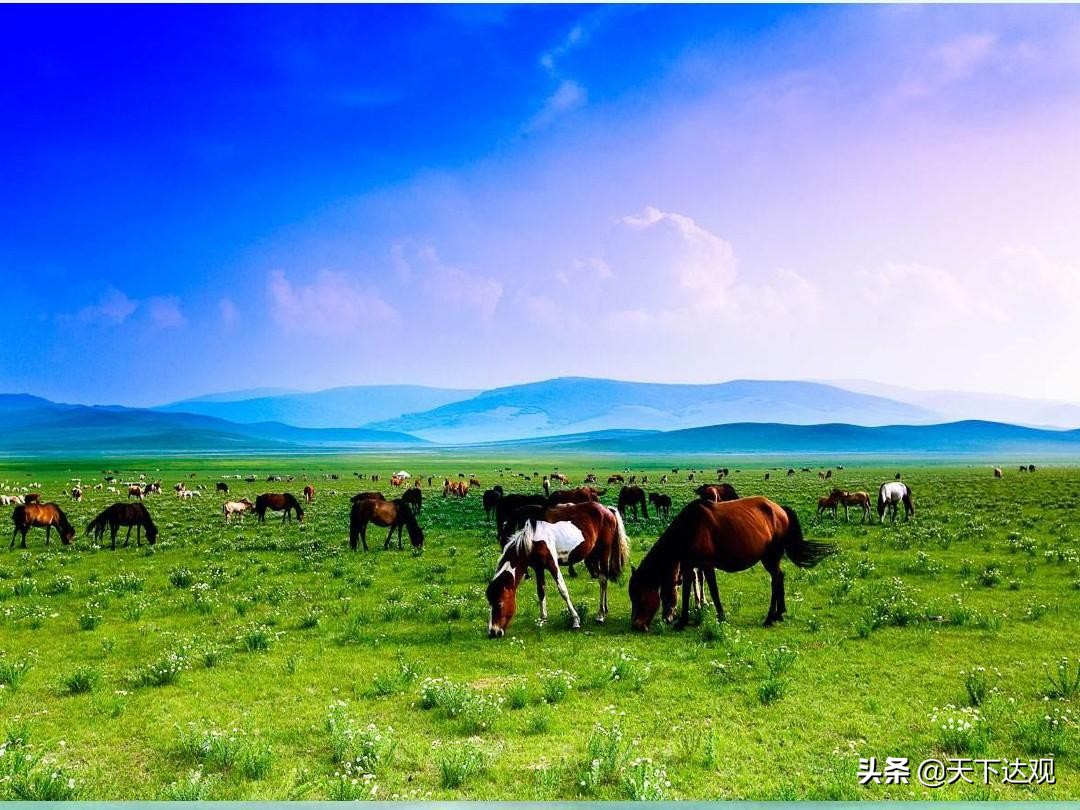 Also known as Dingling, Gaoche, Uyghur, in the middle of the 4th ...