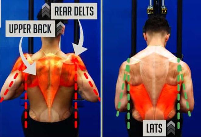 2 "must do" science-based latissimus dorsi training to quickly gain the ...