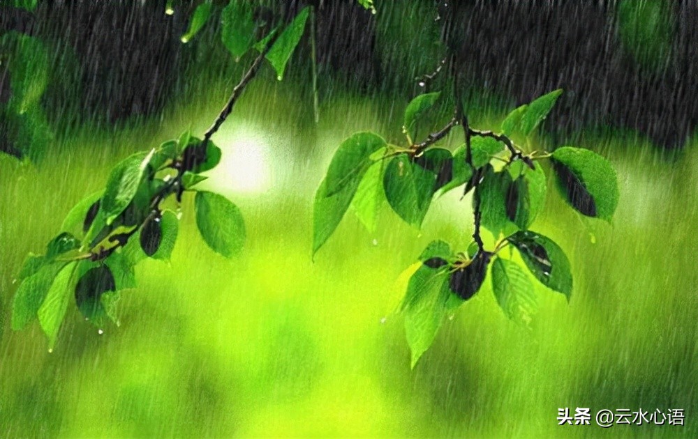 Master Dao Qian watched the rain in the afternoon and chanted a ...
