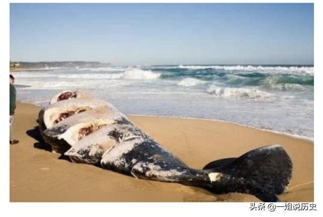 How terrible is the propeller of an aircraft carrier?Looking at the ...