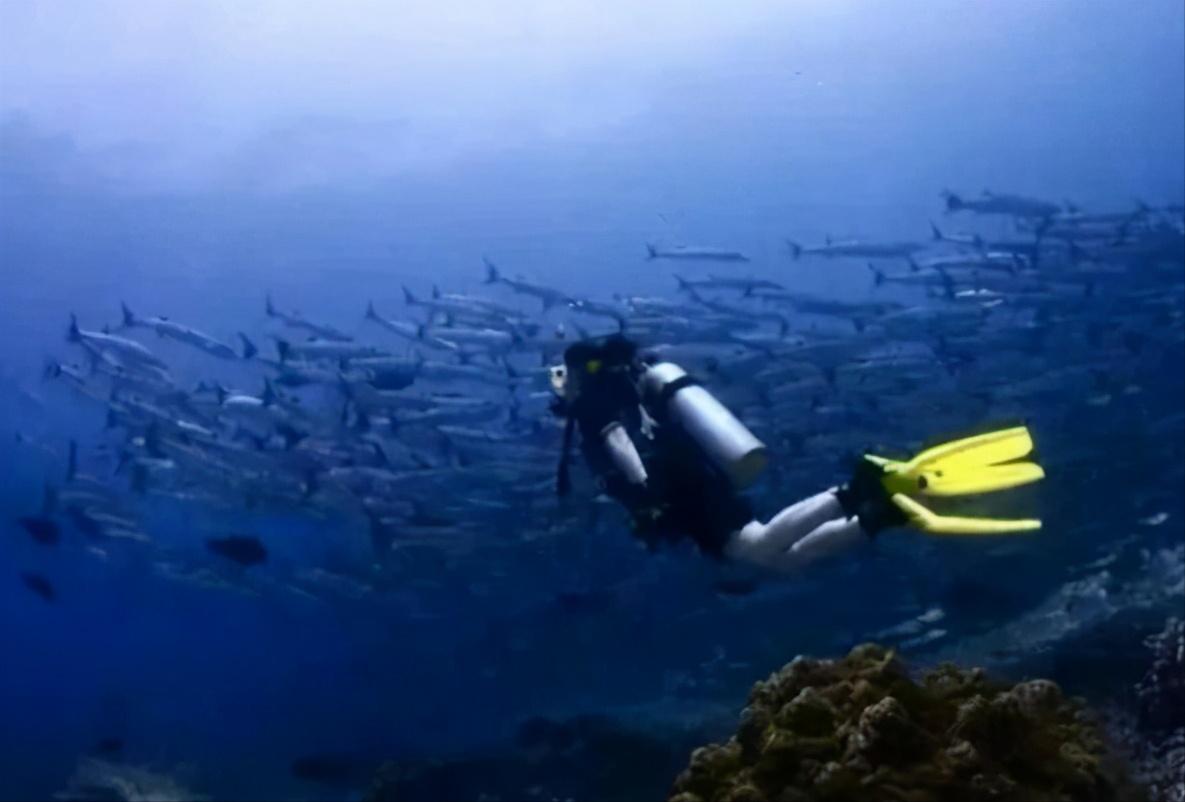 Build Yongle Atoll and build the Chinese's own island paradise - iNEWS