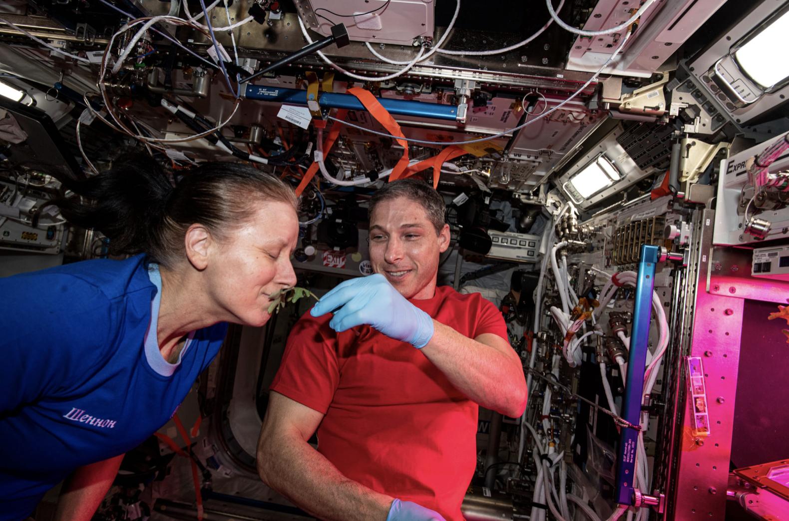 Walker becomes the third female captain of the International Space Station. Expedition 65 will ...