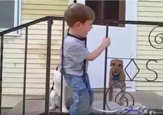 The foreign boy's head was stuck on the railing, and the way his ...