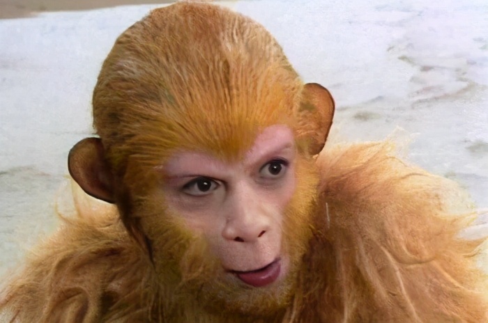 Why did Bodhi Patriarch drove Monkey King down the mountain?In fact ...