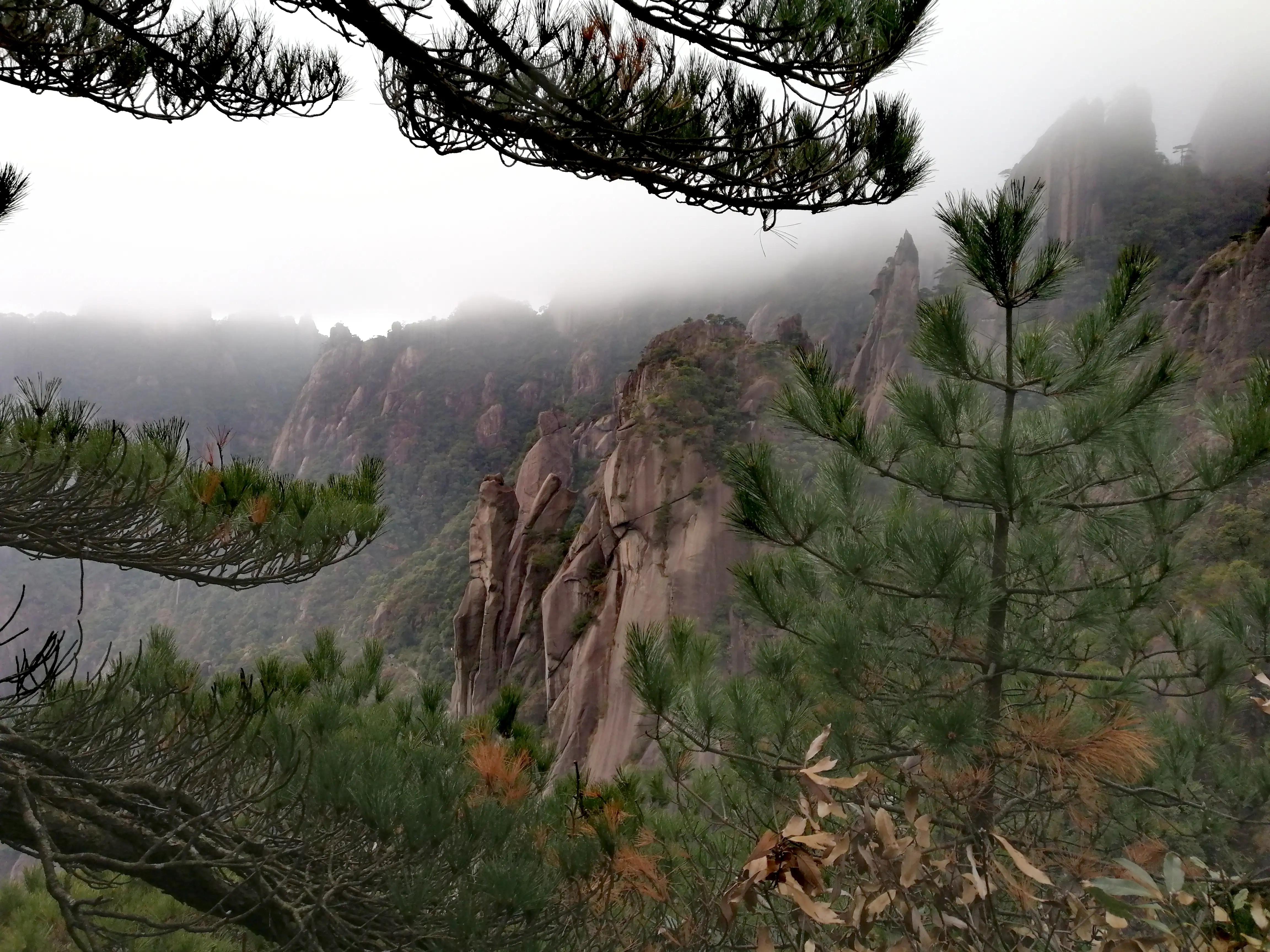 Sanqingshan Scenic Area: Known as "Little Huangshan", it is one of the ...