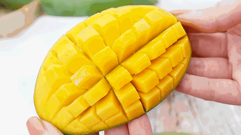 Chenyi Story Guiqi Mango: Unique milky aroma, sweeter than first love ...