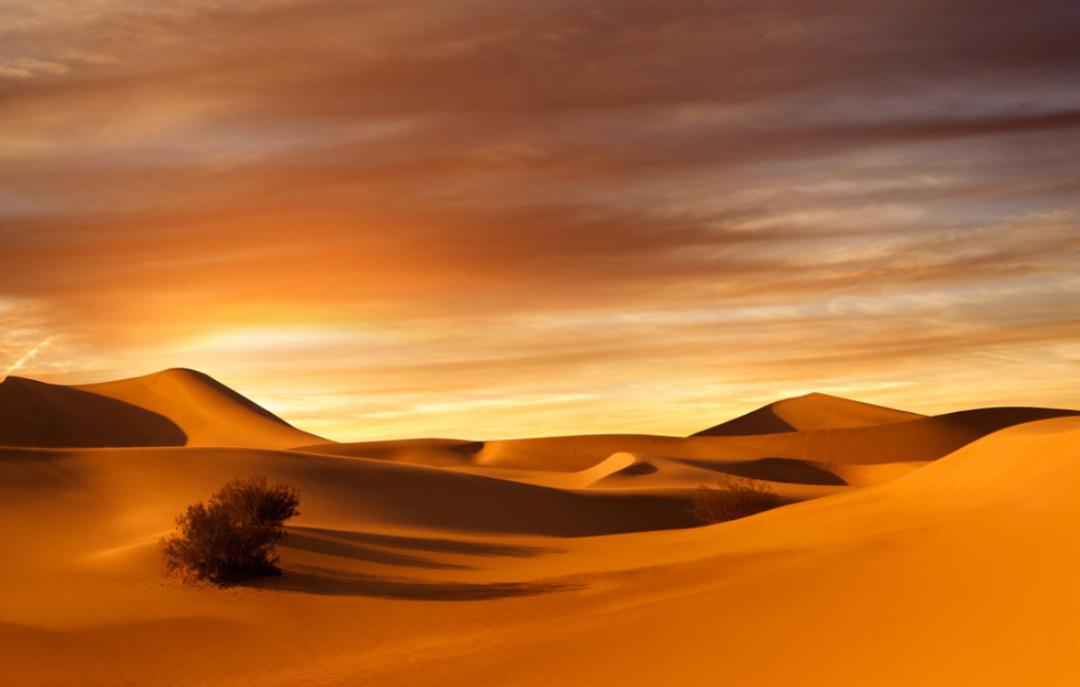 If all deserts are turned into forests, will the world environment ...