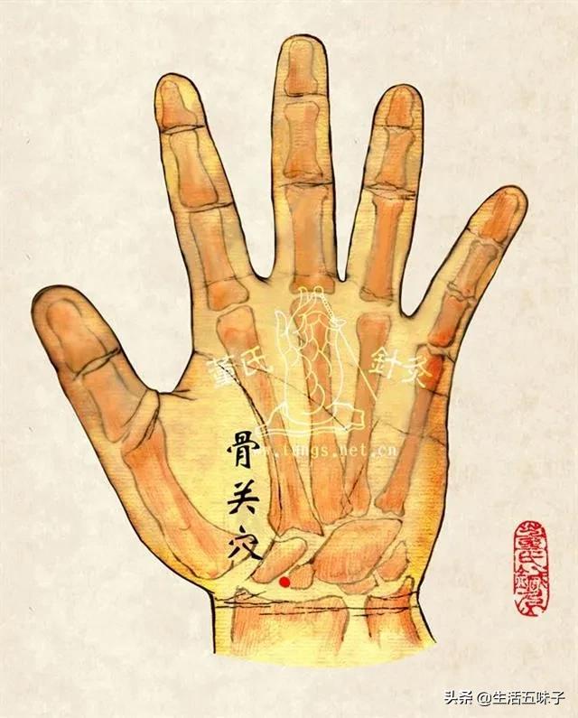 The Dong's unique points of the human body-Guguan, Zhongguan, and ...