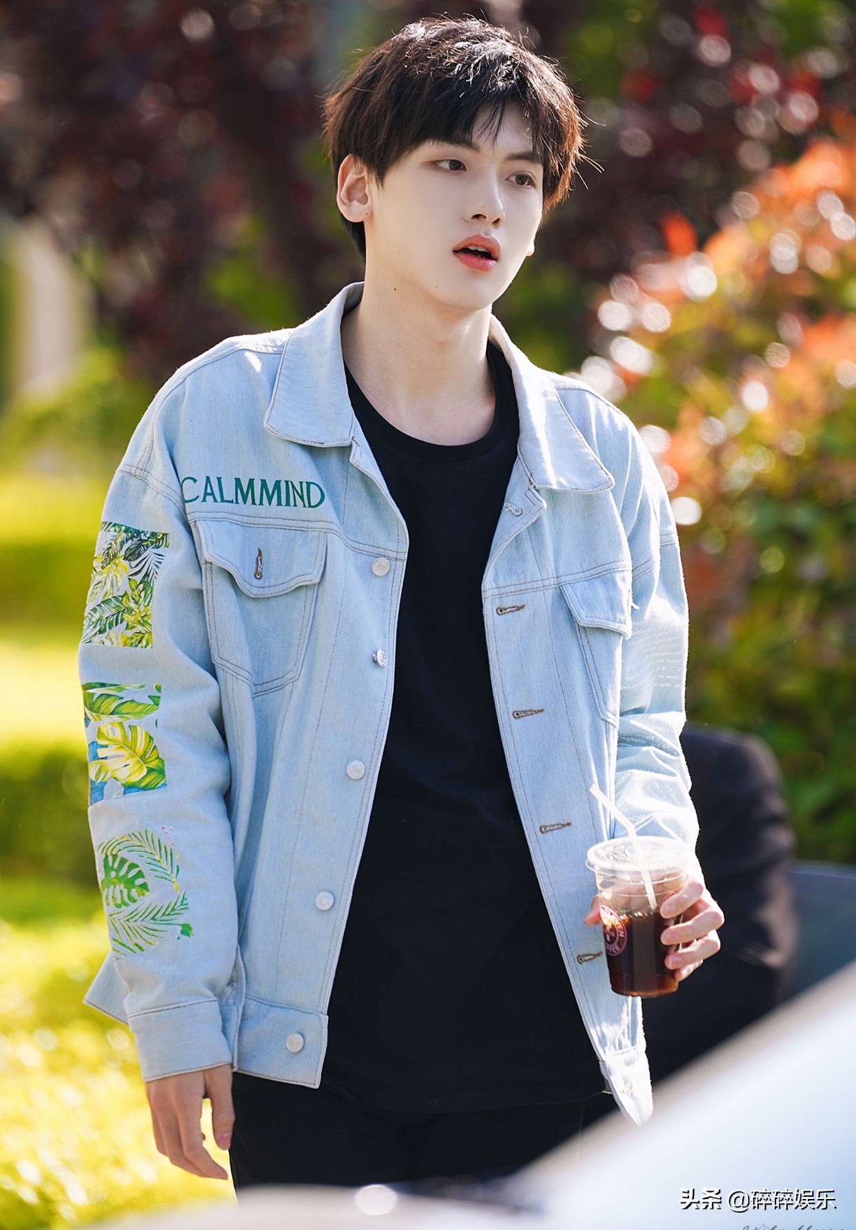 After Xia Zhiguang's Yan Xu Jia, Zhao Lei changed his name to X Jiu and ...