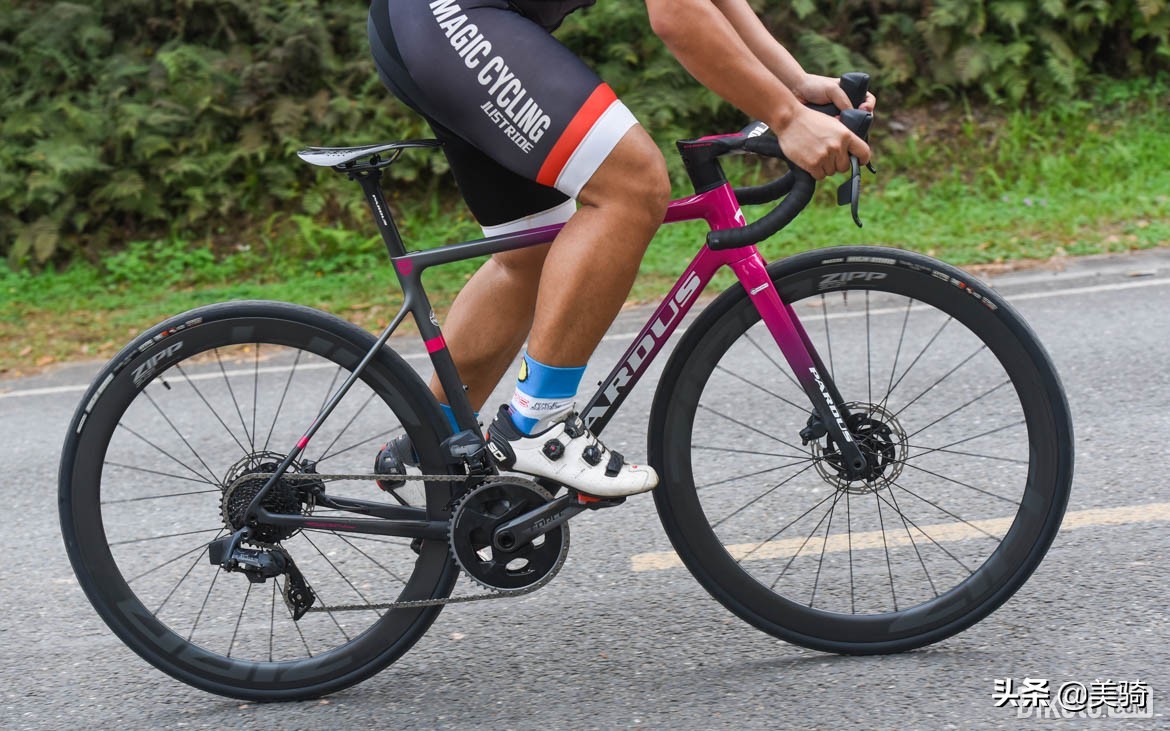 Behind the chariot of the national team: the history of PARDUS ...