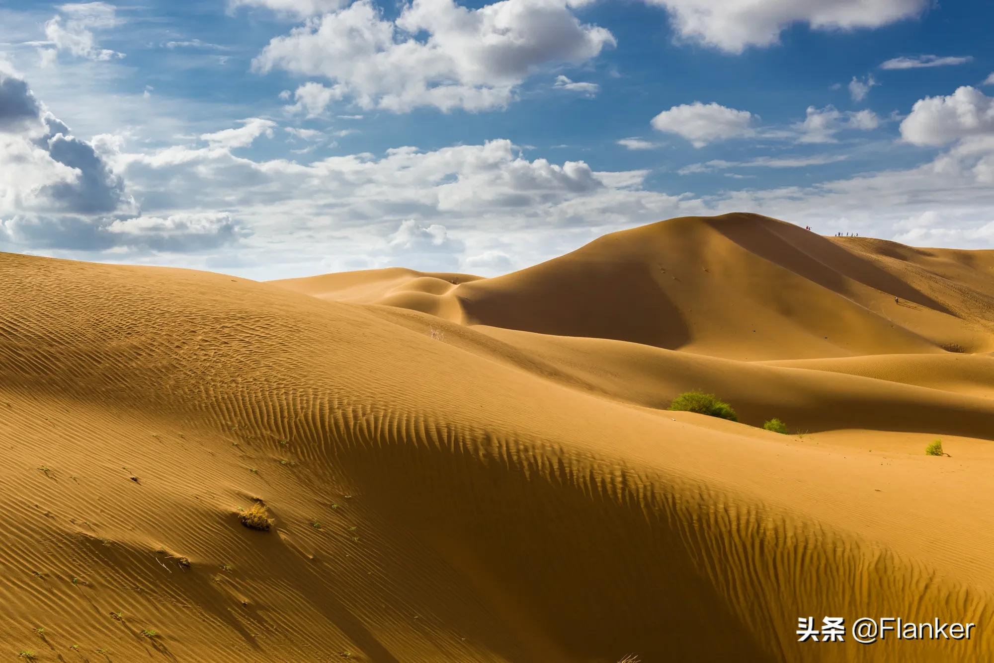 Jinchang Jiukeshu Desert - iNEWS