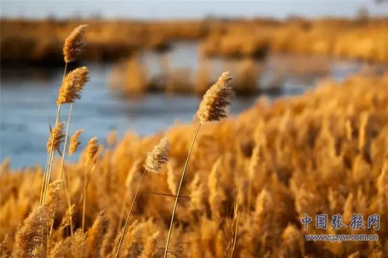 The Gobi water town, the wetland city, and the south of the Yangtze ...