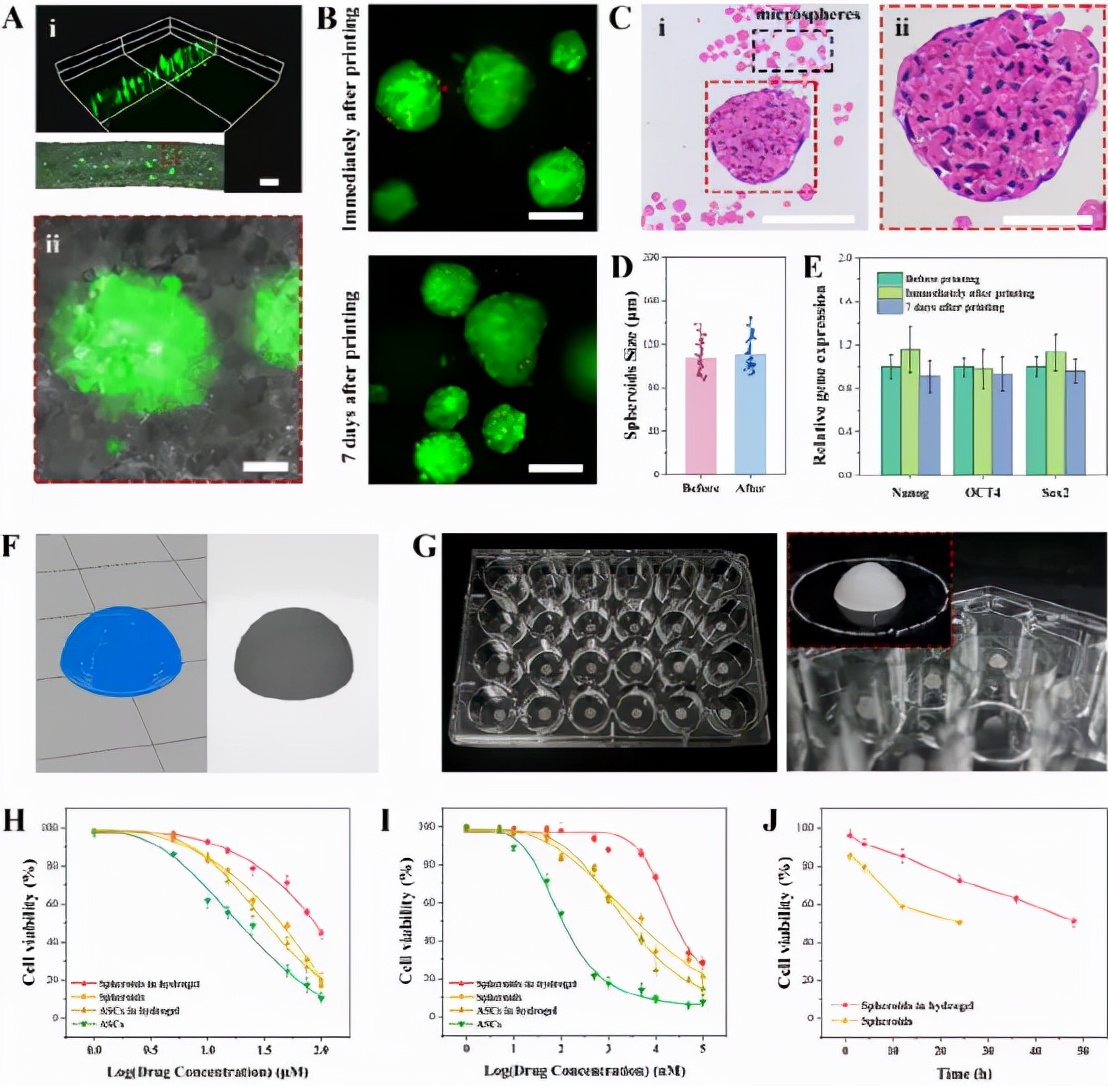3D bioprinted "all-in-one" zwitterionic particle hydrogel bio-ink - iNEWS