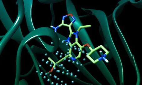 Ding liver new drug bulevirtide, after 24 weeks of phase III, the 2 mg ...