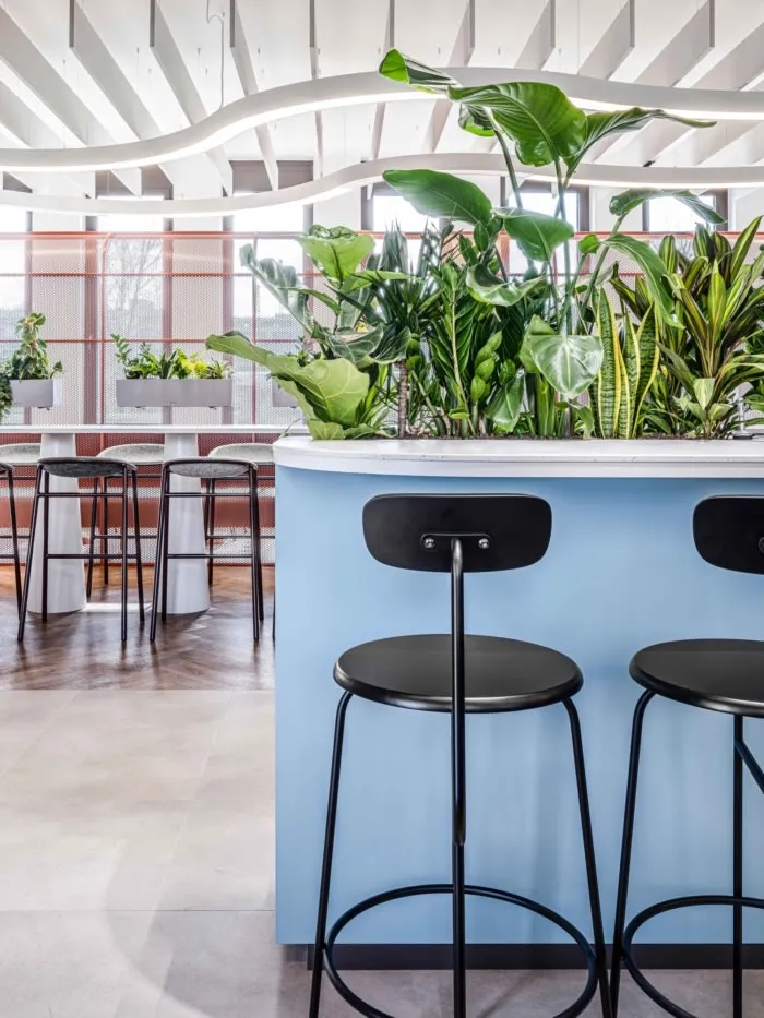 8 office design trends in 2022 - iNEWS
