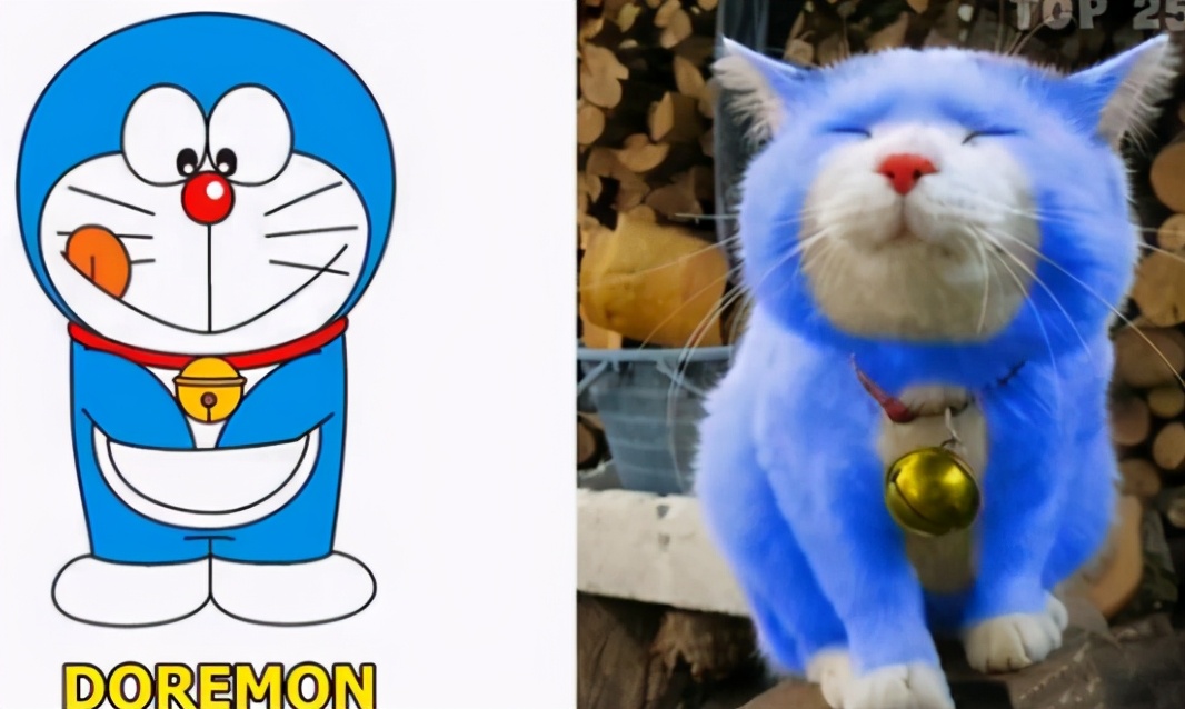 "Doraemon" live-action version, although it is very restored, but ...