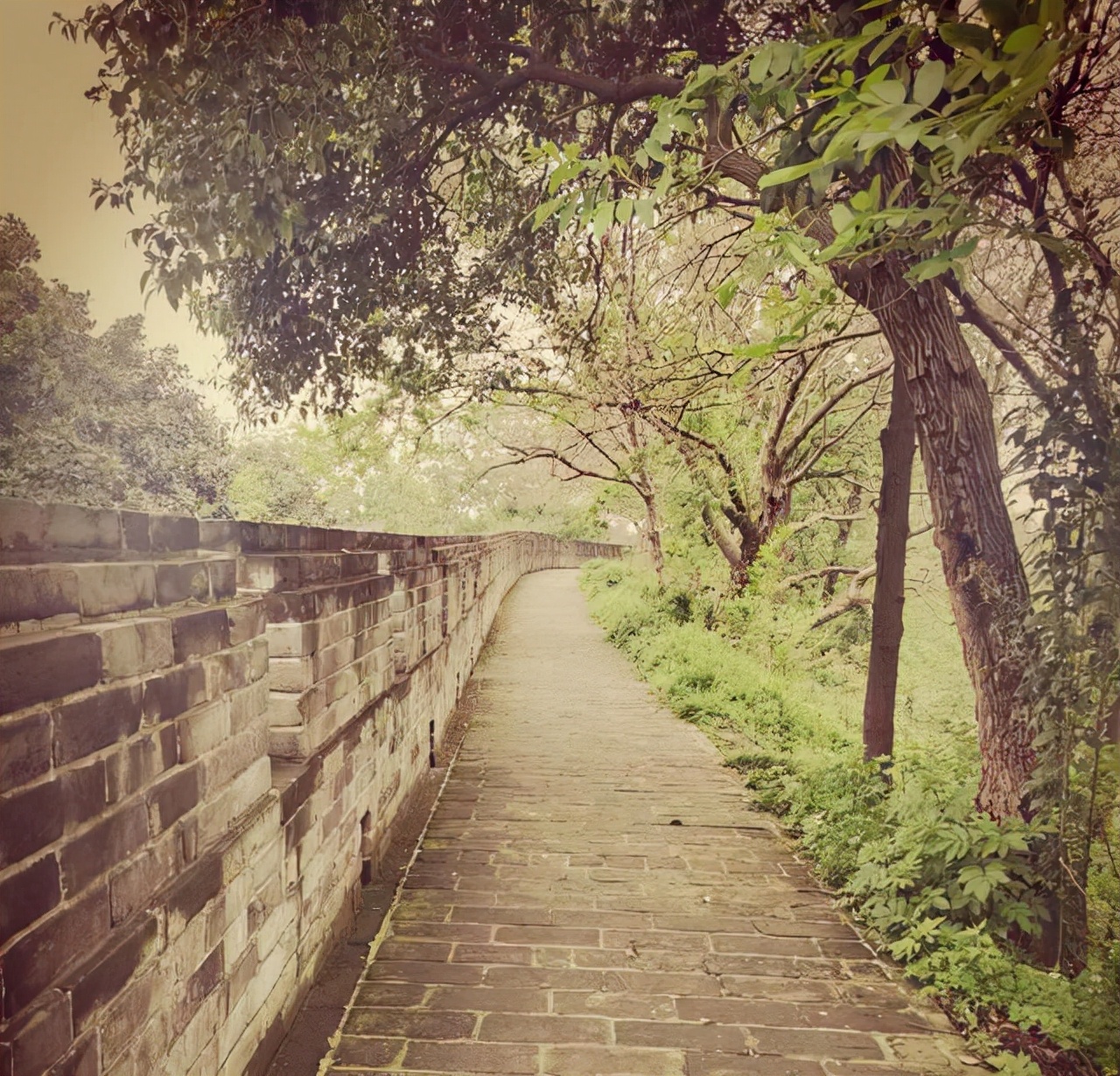 The land of six hundred miles turned into six miles!This scam made the ...