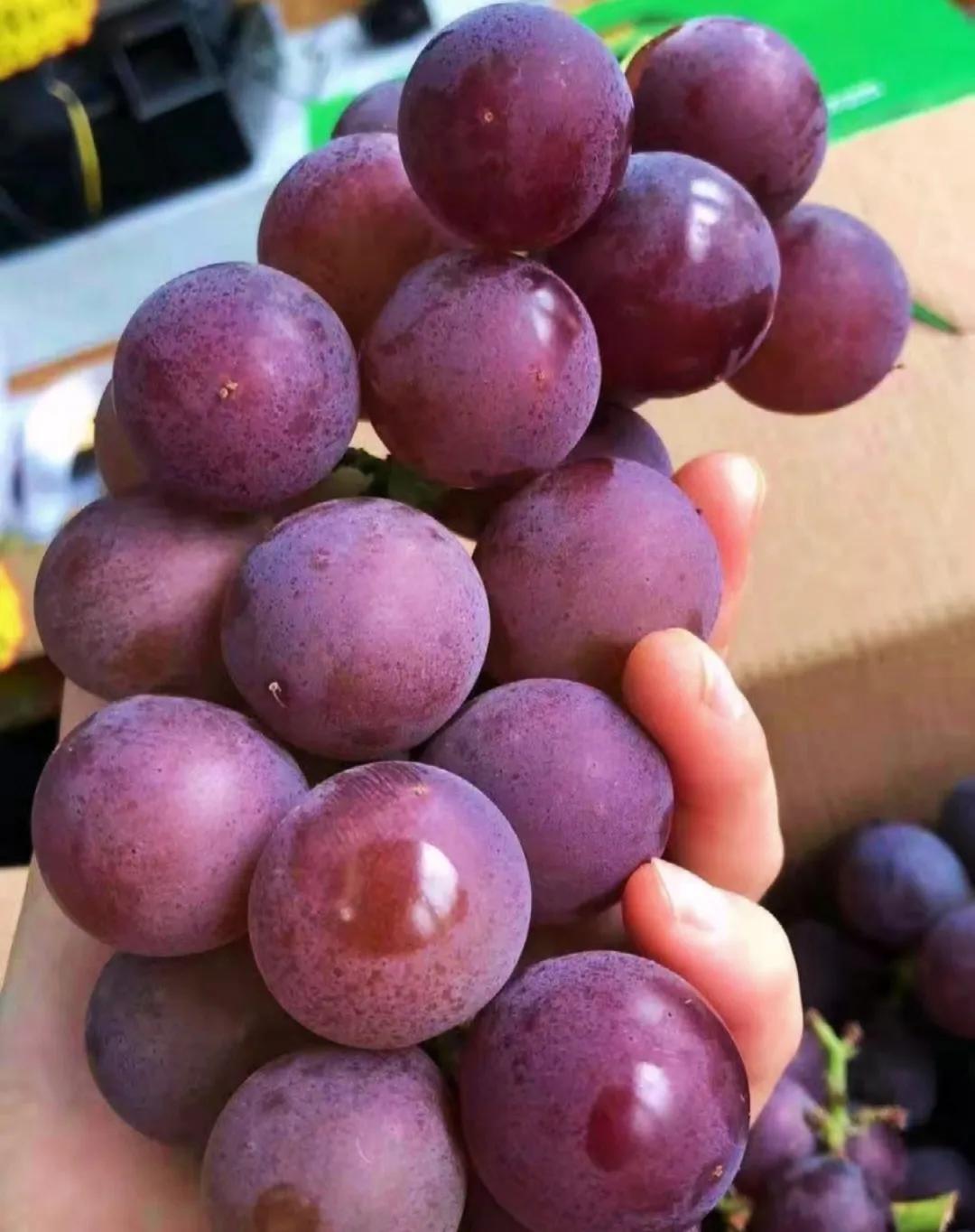 Is there a difference in taste when buying grapes that are compact or ...