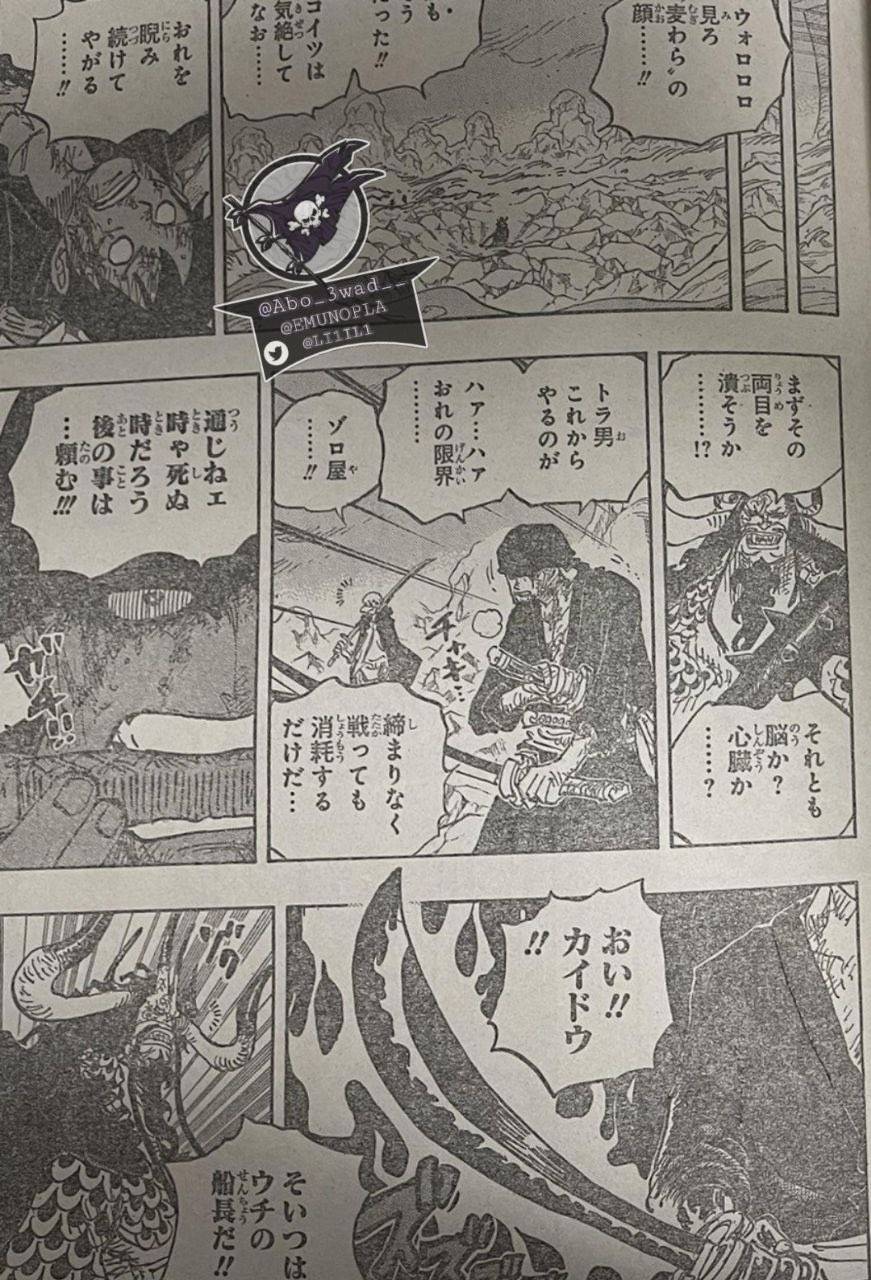 One Piece Chapter 1010 Intelligence Full Text Translation!Too burning ...