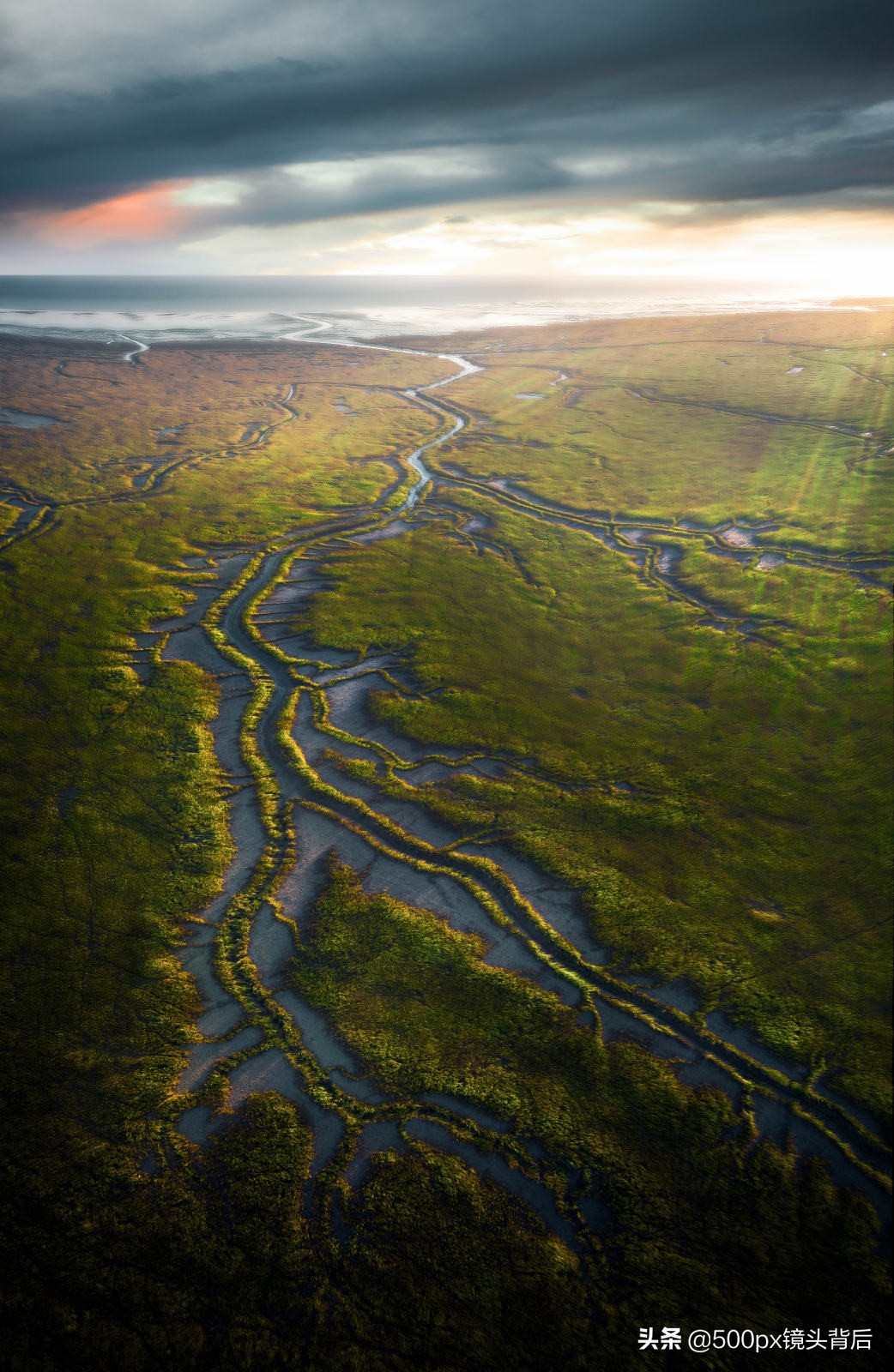 Vision China 500px Photographer·Qi Zhiyuan: Late Stage——50% of ...