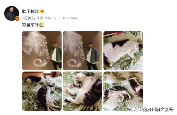 Yue Yunpeng's partner Sun Yue: playing with elephants outside home and ...
