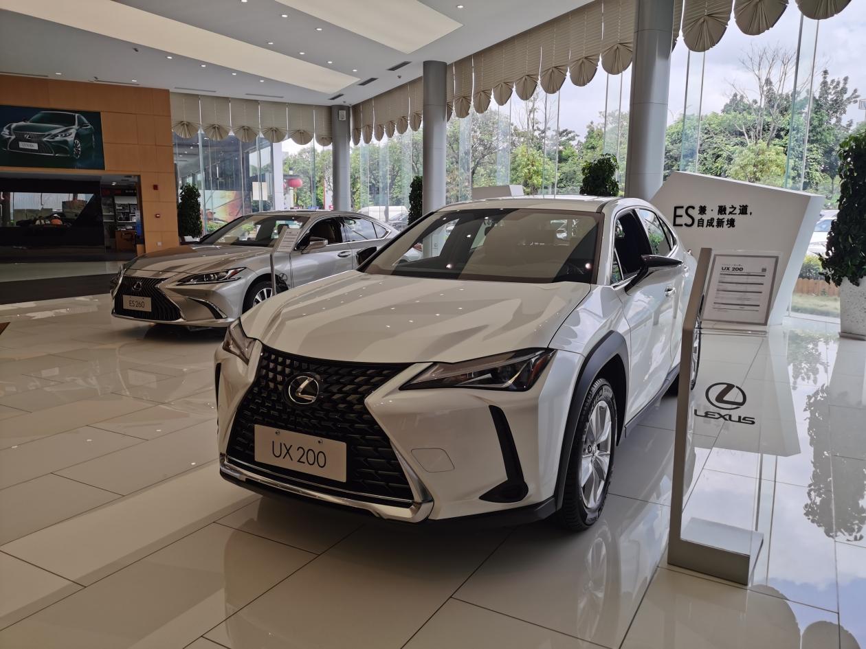 Dongying Butter Cake-Lexus UX200 - iNEWS