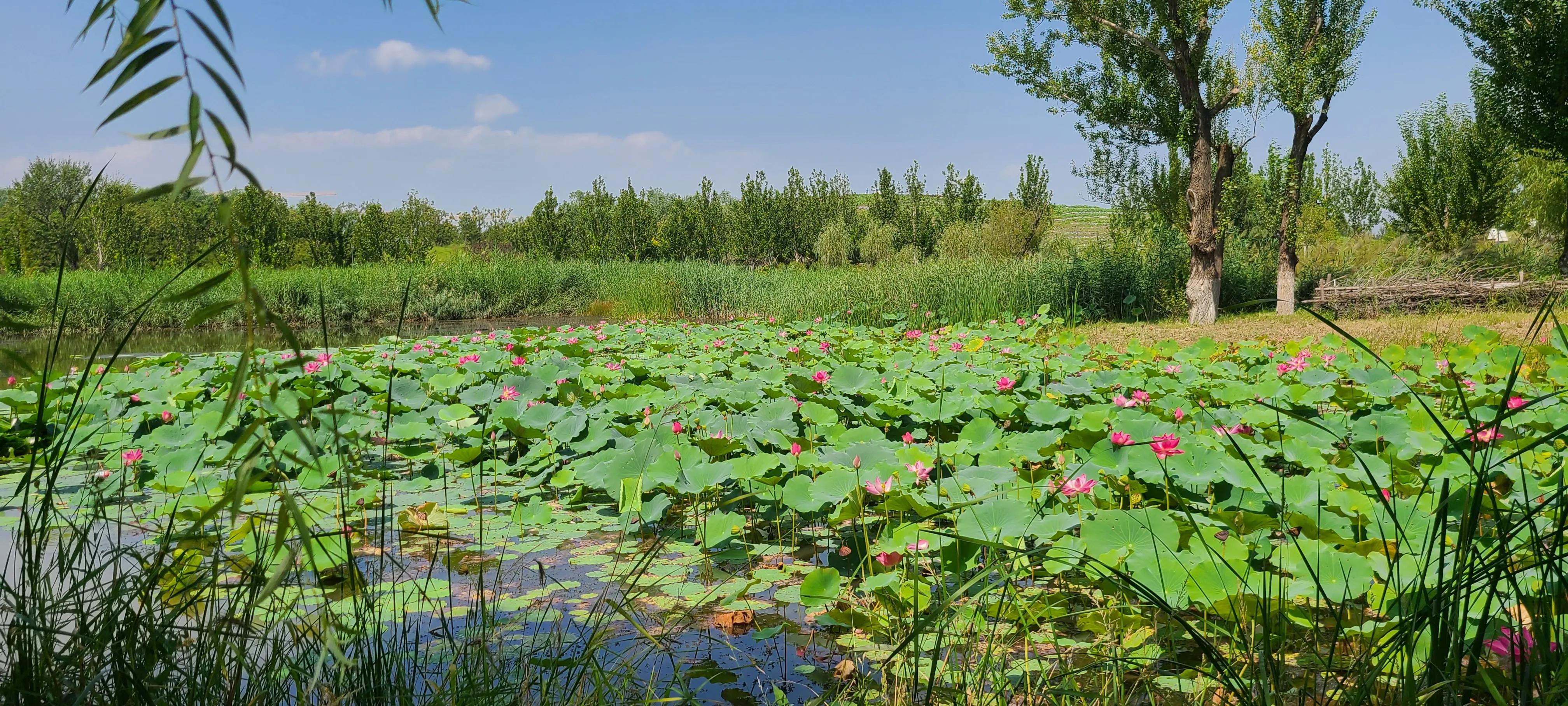 Tour Beijing Wenyu River Park - iNEWS