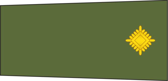 Military rank identification of each country: Rwanda - iNEWS