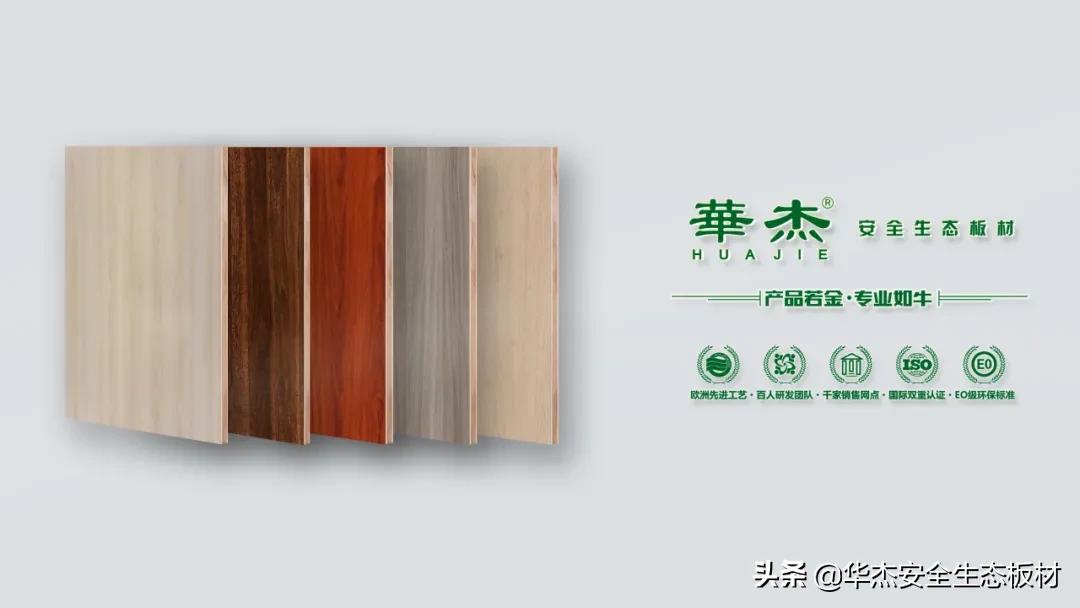 What are the fascinating features of the ecological board? - iNEWS