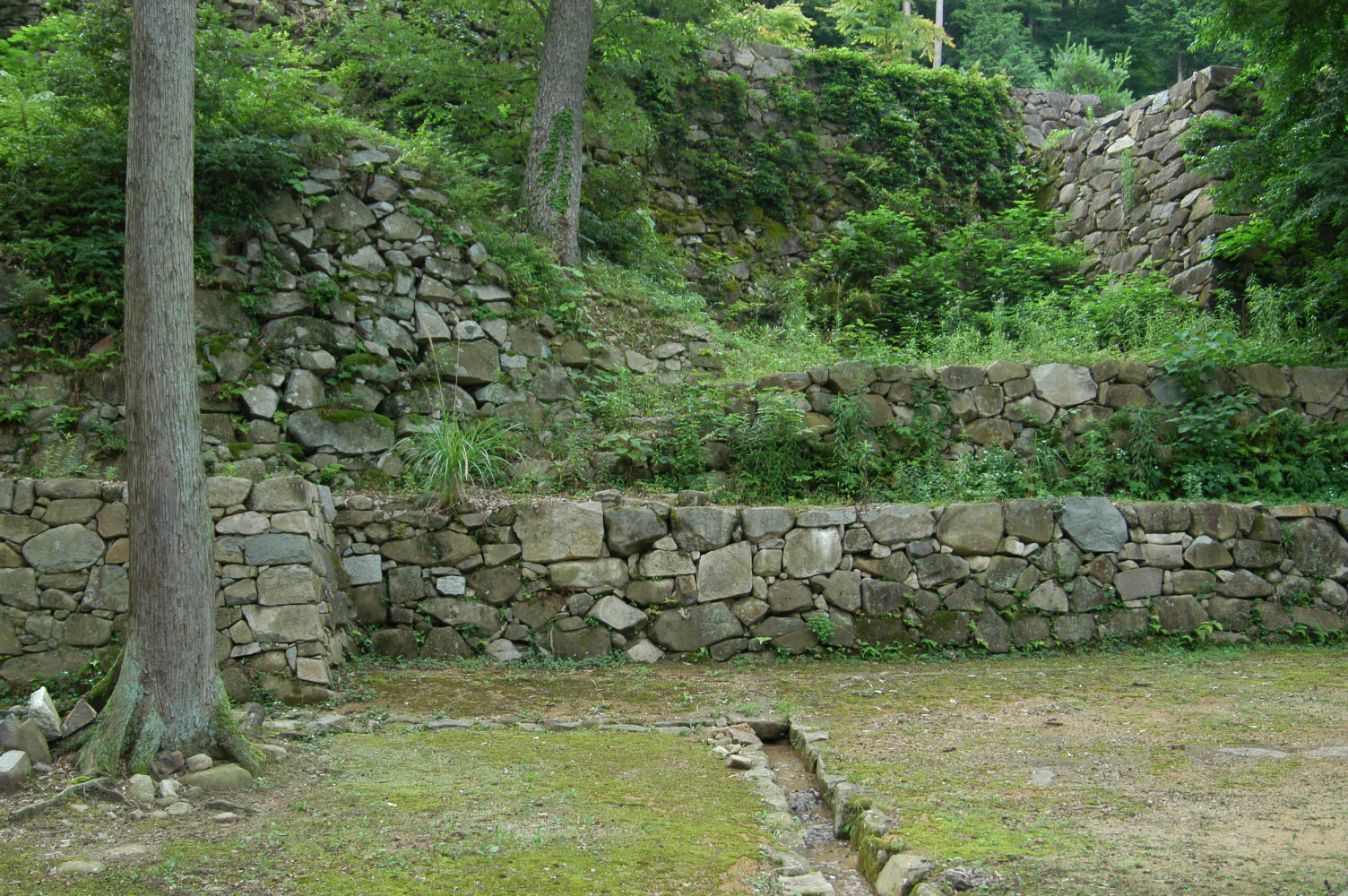 Interesting talk about Japanese castles-Azuchi Castle - iNEWS