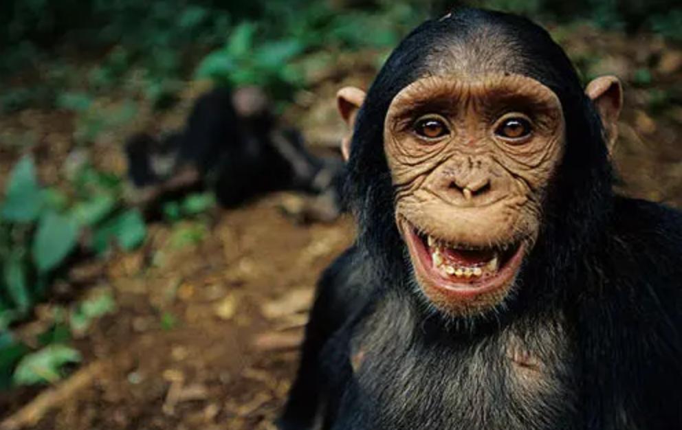 There is no one on the earth, where did humanity come from?Is the first ...