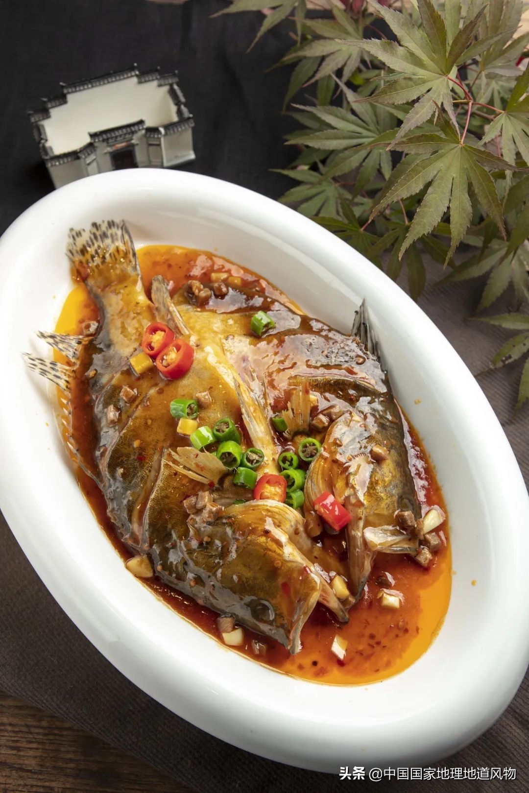 China's most weird tofu has more hair than social animals? - iNEWS