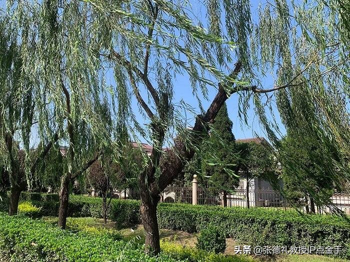 "Investigation" The former "Shanxi's richest man" Li Zhaohui who was ...