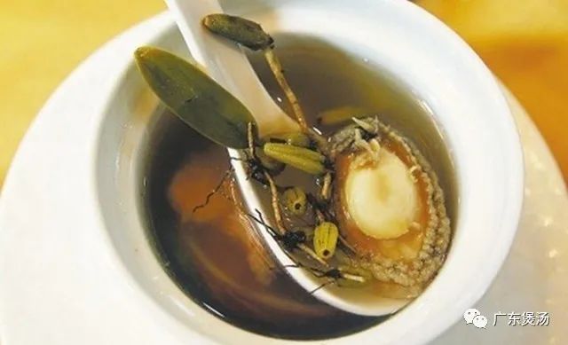 What kind of soup can abalone stew?Why is drinking abalone soup healthy ...